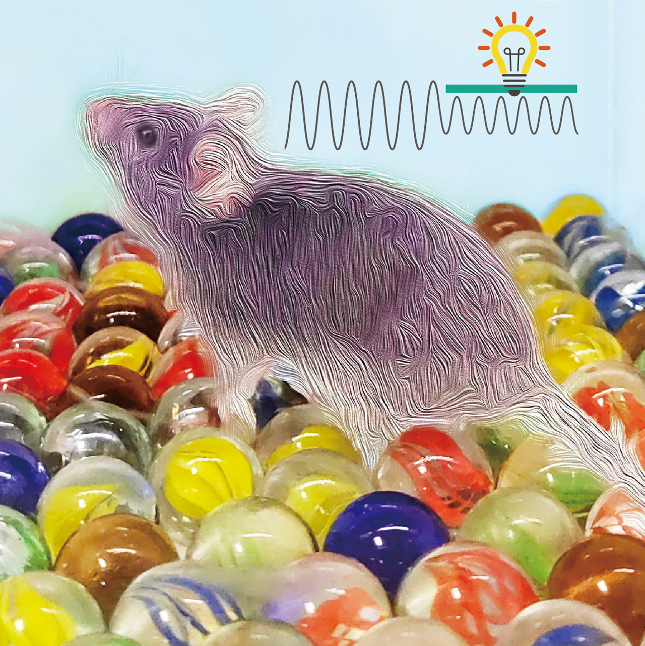 Habenular Astrocytes Tuning Anxiety with the ‘Marble Blues’｜Graduate ...