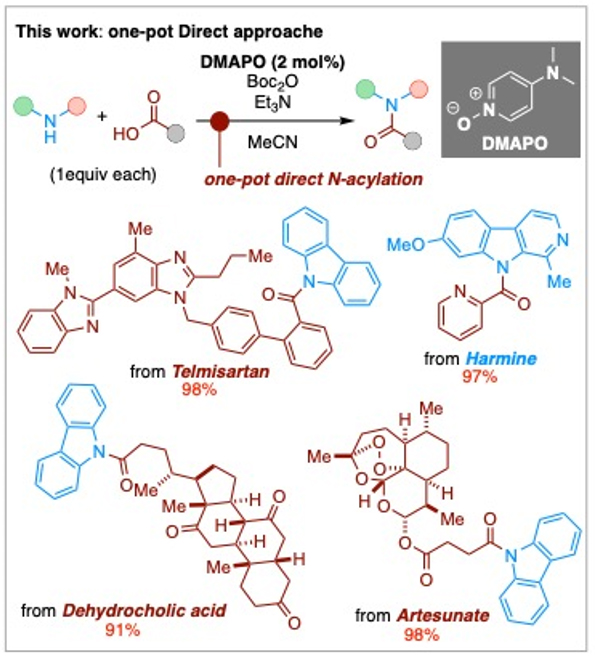 Optimized Amide Bond Reaction Using Heterocyclic Compounds and ...