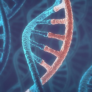 Graduate School of Life Sciences Tohoku University